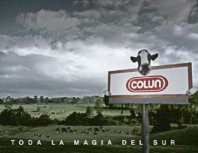 Superintendencia investigará a Colún por derrame de petróleo en el sur