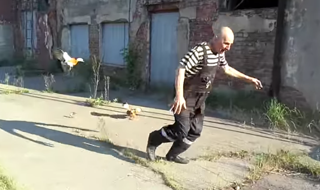 La raja: Dos patos furiosos arremeten contra un obrero que intentó ...