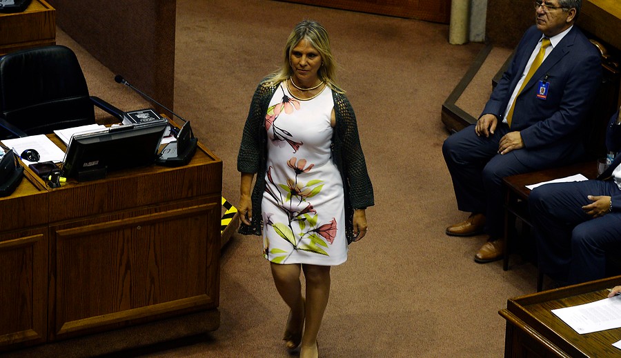 Desde Twitter: La propuesta de Lily Pérez a Piñera para solucionar el ...