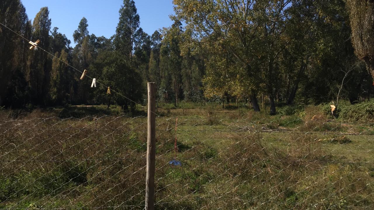 Voces desde regiones: cinco relatos de personas que viven el ...