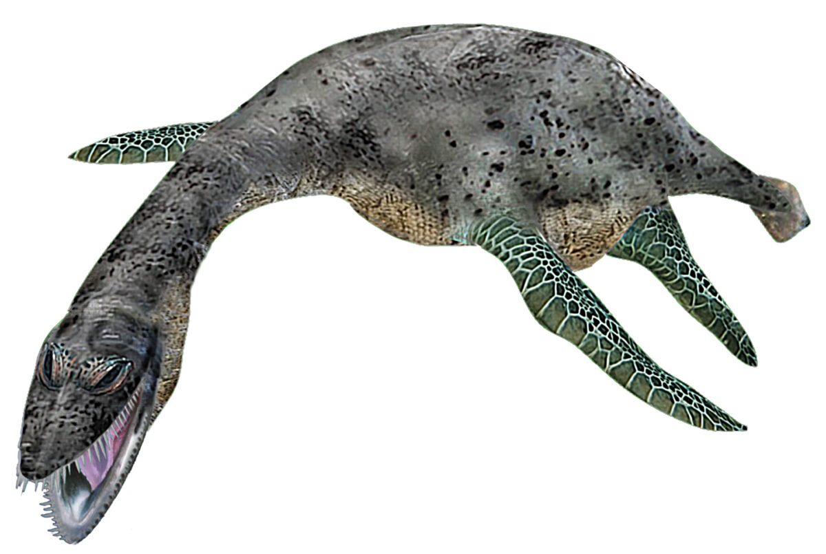 FOTOS. Investigadores descubren dos géneros de plesiosaurios que ...