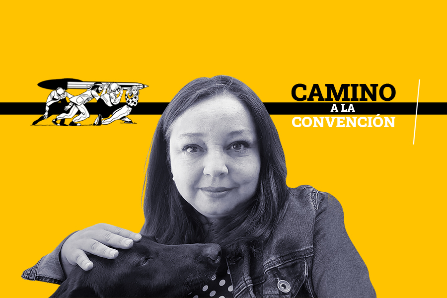Camino a la Convención: Priscilla Castillo, distrito 6