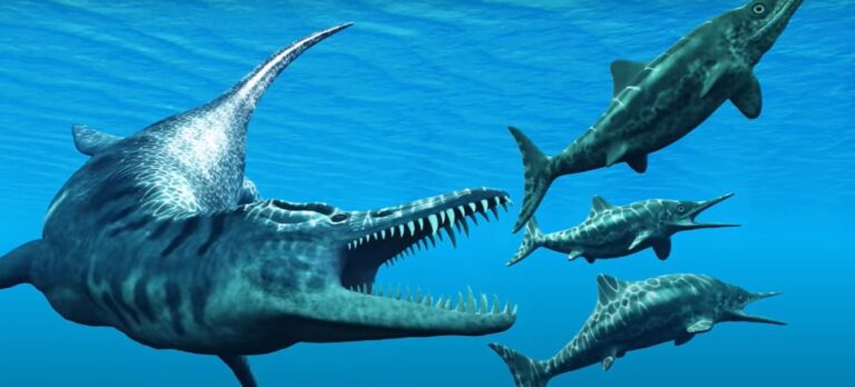 Encuentran en las costas de Nevada fósil del ictiosaurio, un reptil gigante