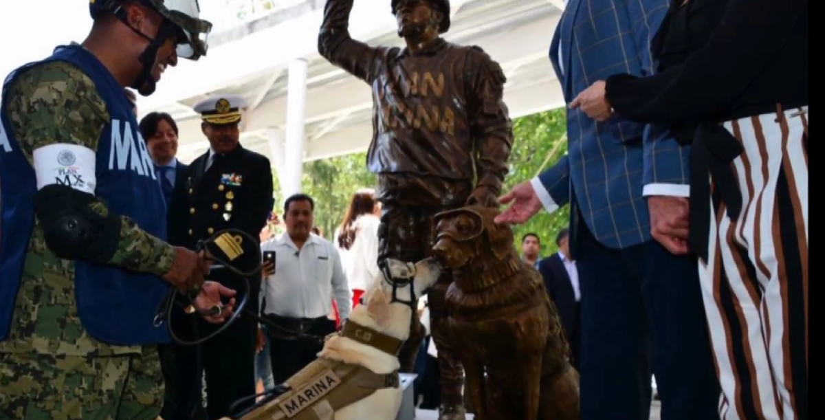 Murió Frida, la heroina canina de México