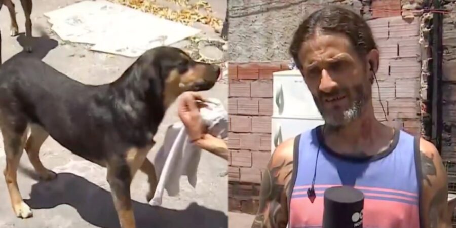 Carabinero salva a perrito encadenado en pleno incendio forestal