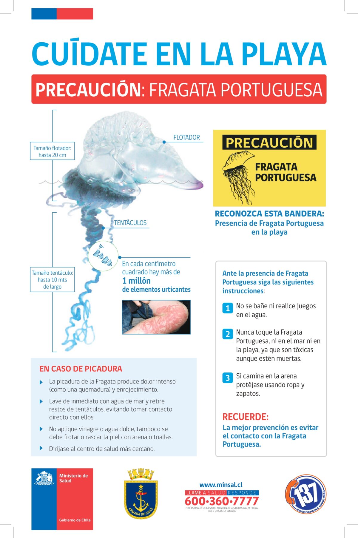 Fragata portuguesa: Las medidas que se deben tomar en caso de exposición