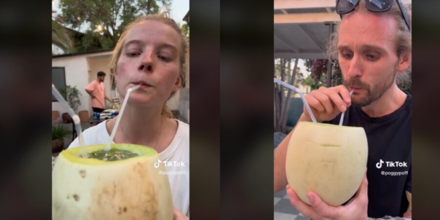 Los tragos que más les gustan a los extranjeros que vienen a Chile