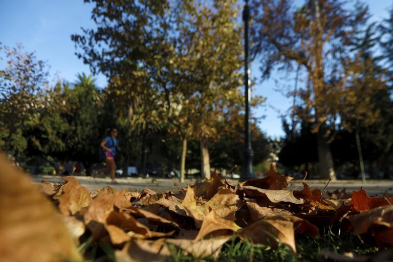 Qué es el veroño: el fenómeno climático que afecta a la zona central
