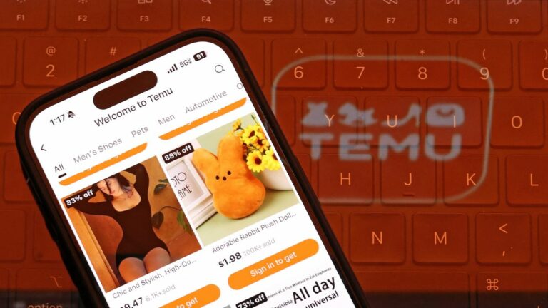 Temu: por qué es tan barato y cómo ha sido su expansión en Chile