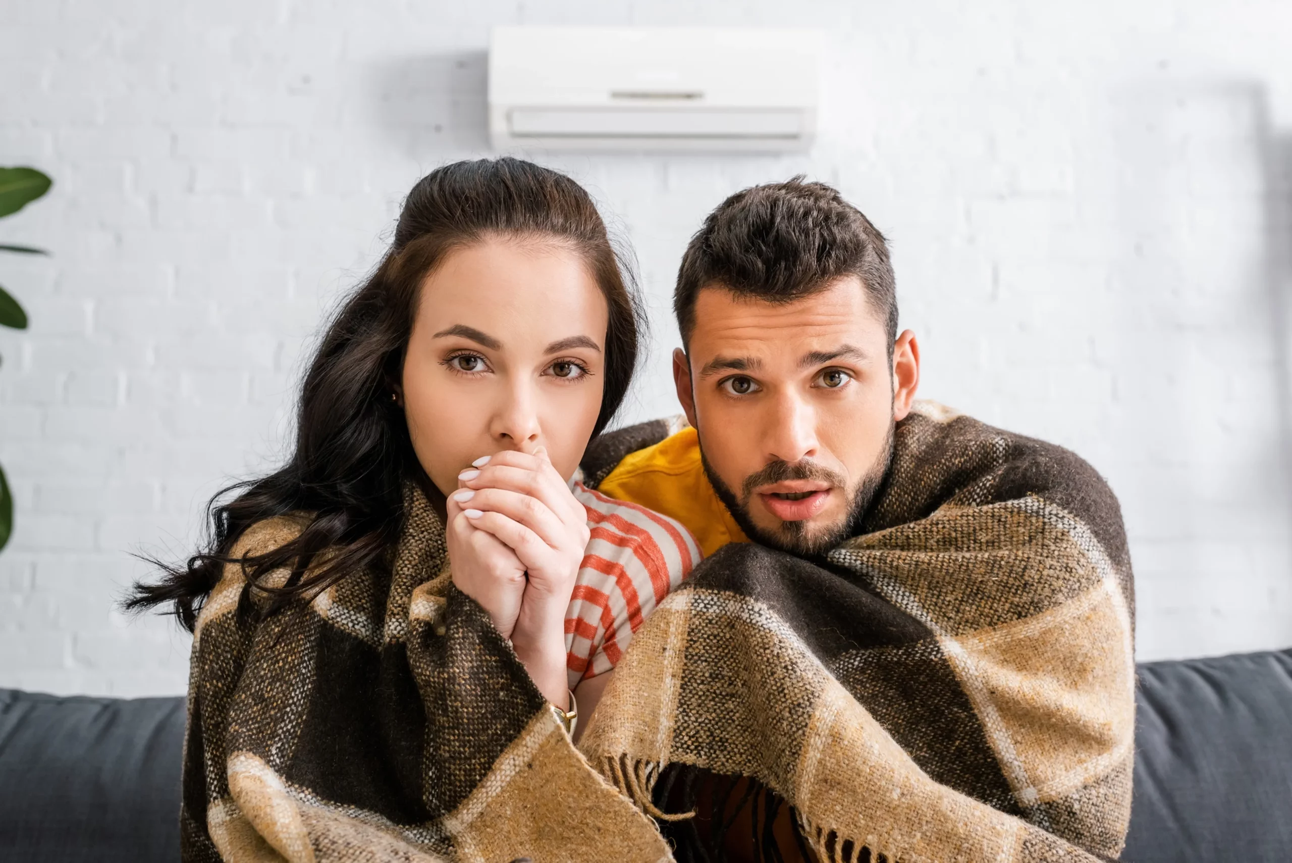 Hace frío: Quedarse en casa en invierno en vez de salir al aire libre