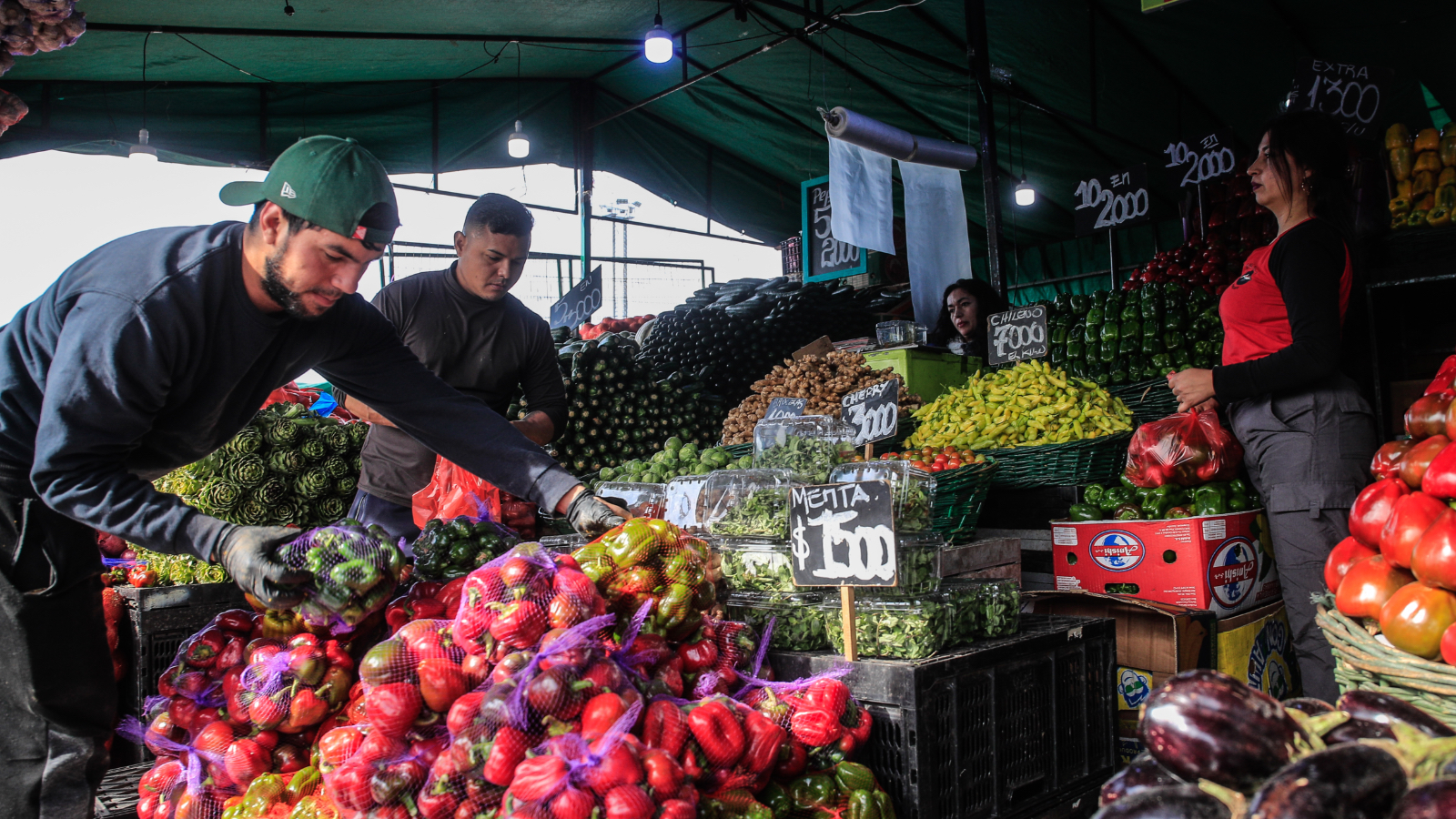 Lo Valledor contará con nuevas medidas de seguridad y horario