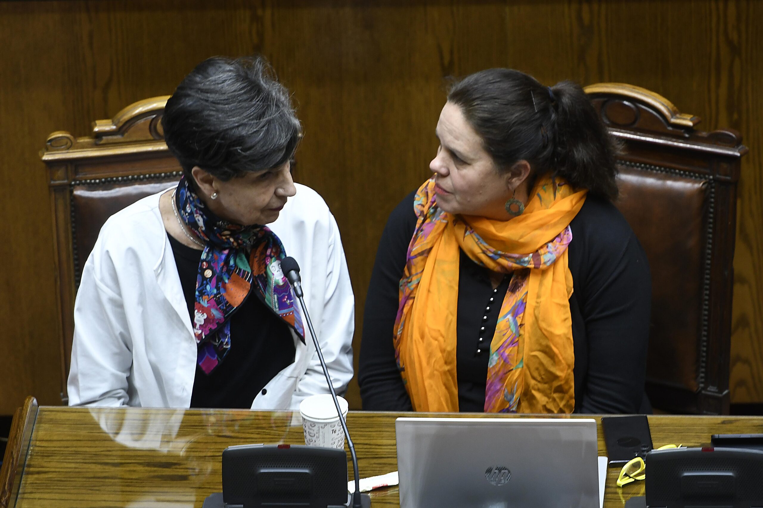 Por qué La Moneda dejó caer a Sandoval y no a Maya Fernández