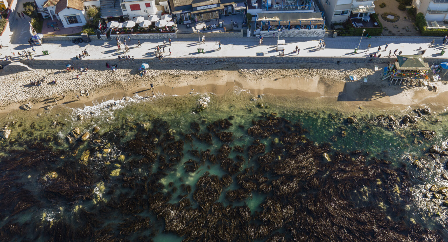 ¿Qué es ser un facho pobre?