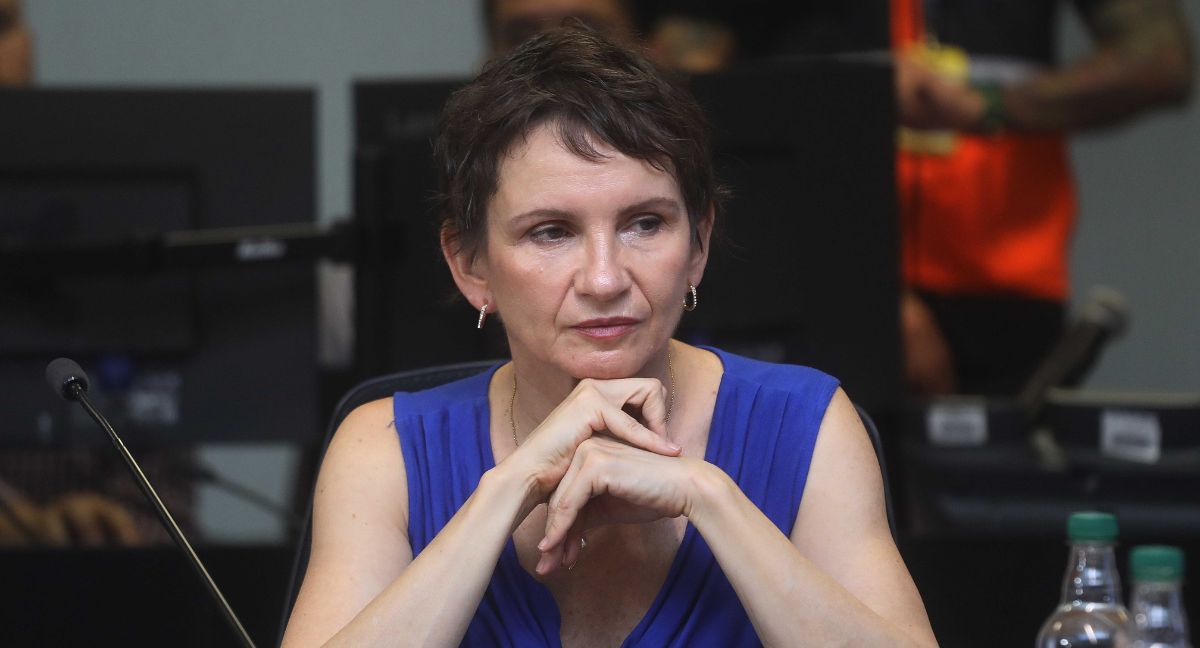 Reivindicación de tierras en incendios forestales de La Araucanía: el ...