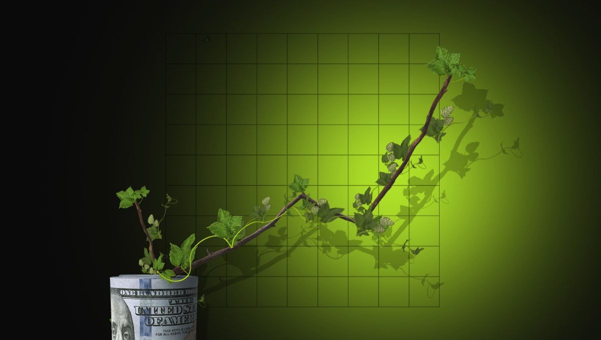 Inversiones verdes Bci: descubre cuál opción se adecúa a tu perfil