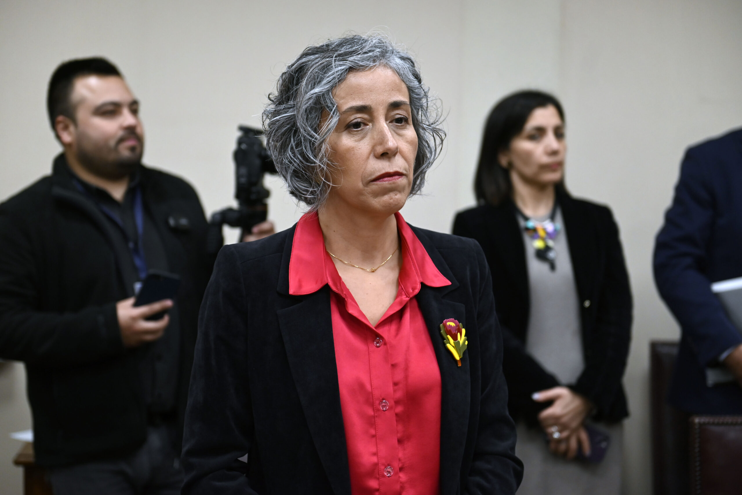 La caída de Pamela Gana, la superintendenta de Seguridad Social con casi 30 años de trayectoria ...