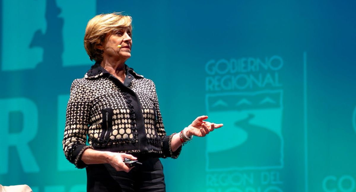 Daniel Pérez Pallares tras su renuncia al comando de Matthei: "Tengo ...