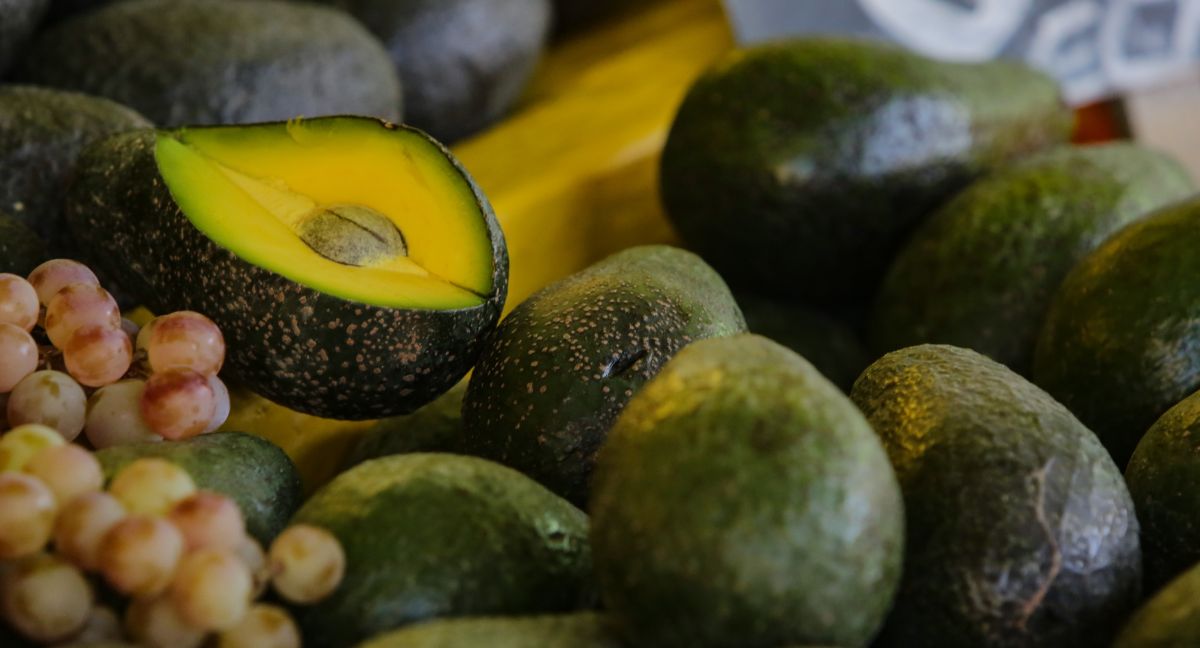 Alerta por paltas peruanas contaminadas: Minsal intensifica controles ...