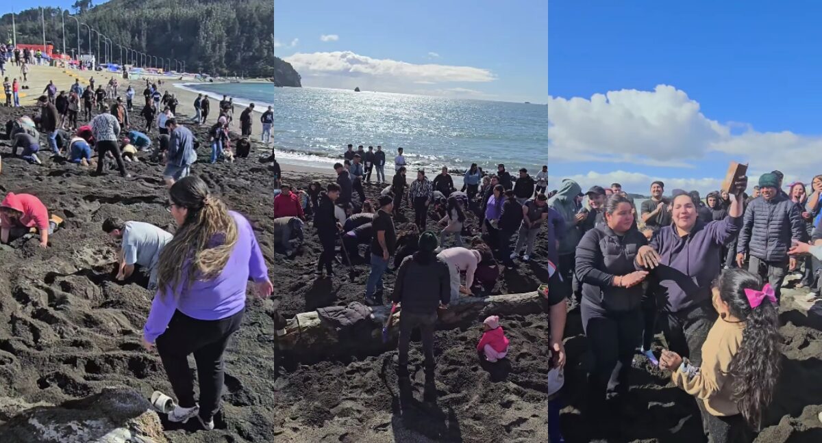 Influencer movilizó a sus seguidores tras enterrar "tesoros" en Caleta ...