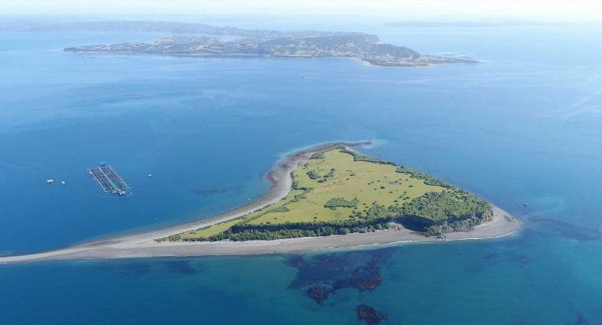 Ponen a la venta exclusiva isla de 32 hectáreas en Chiloé por más de $1 ...