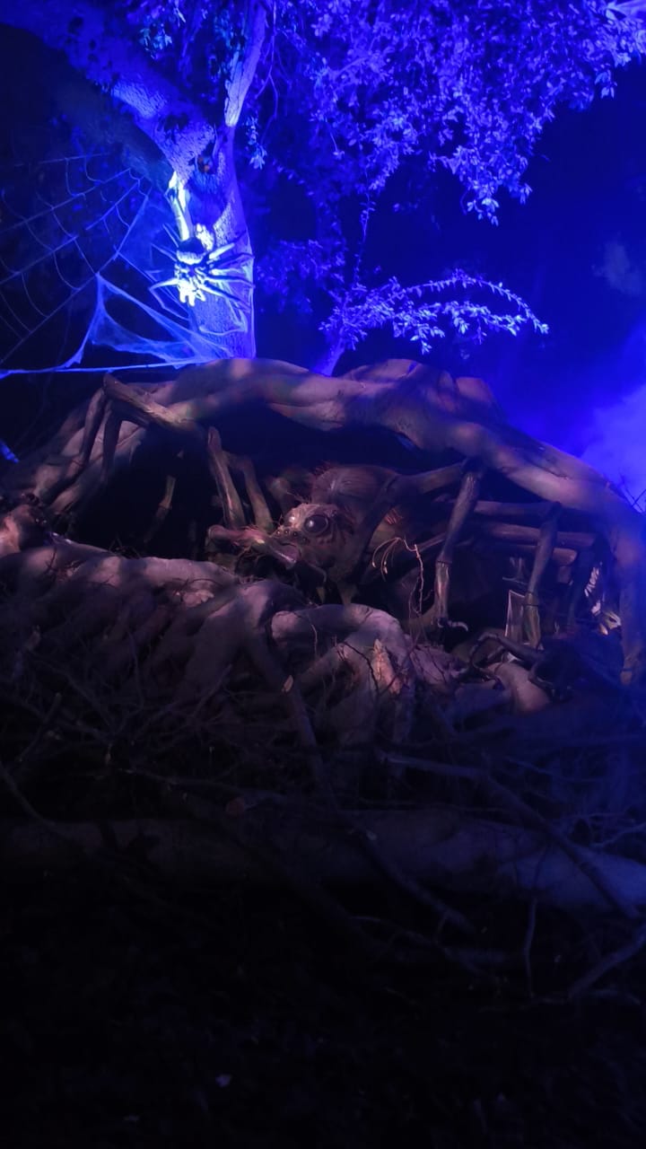 Así es visitar "Harry Potter: La Experiencia del Bosque Prohibido”, el ...