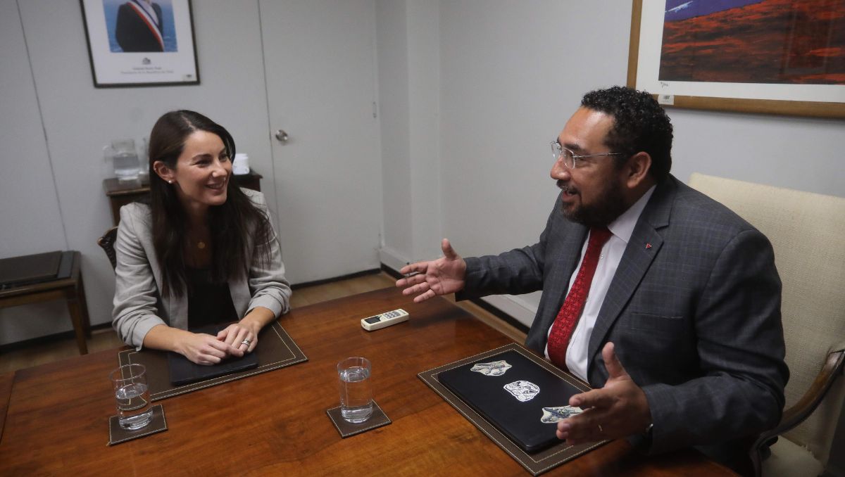 "Temo que pasemos 4 años nuevamente discutiendo temas institucionales y ...